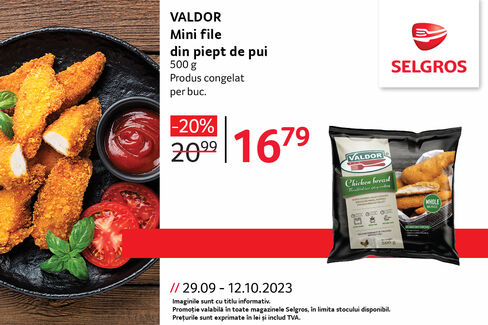 Selgros - Mini file de piept de pui Valdor